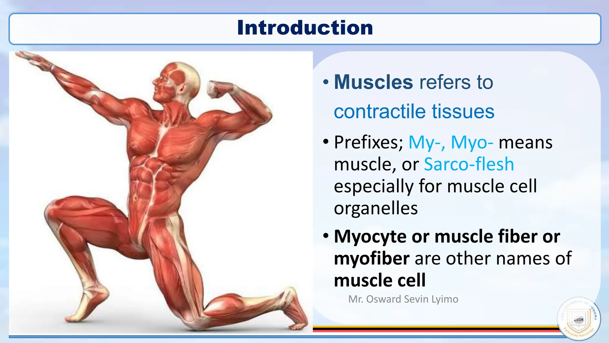 1. MusclarA System.pptx anatomy and physiology.pptx