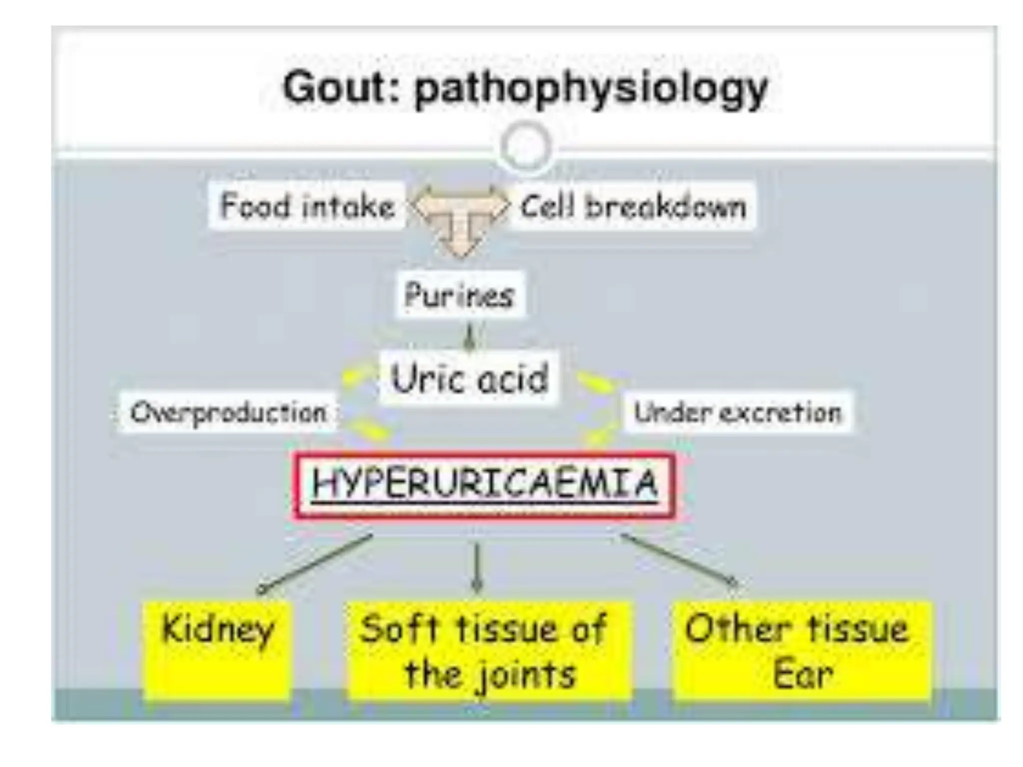 1.Diseases of Bones nad joints Pathophysiology(RA Gout).pptx | Bone and Joint Conditions ...