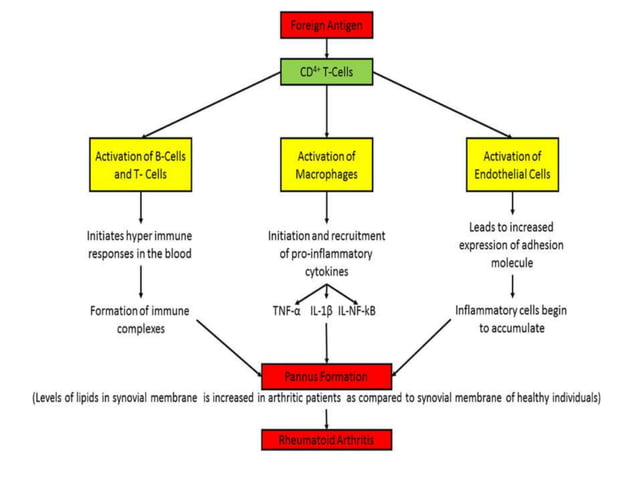 1.Diseases of Bones nad joints Pathophysiology(RA Gout).pptx