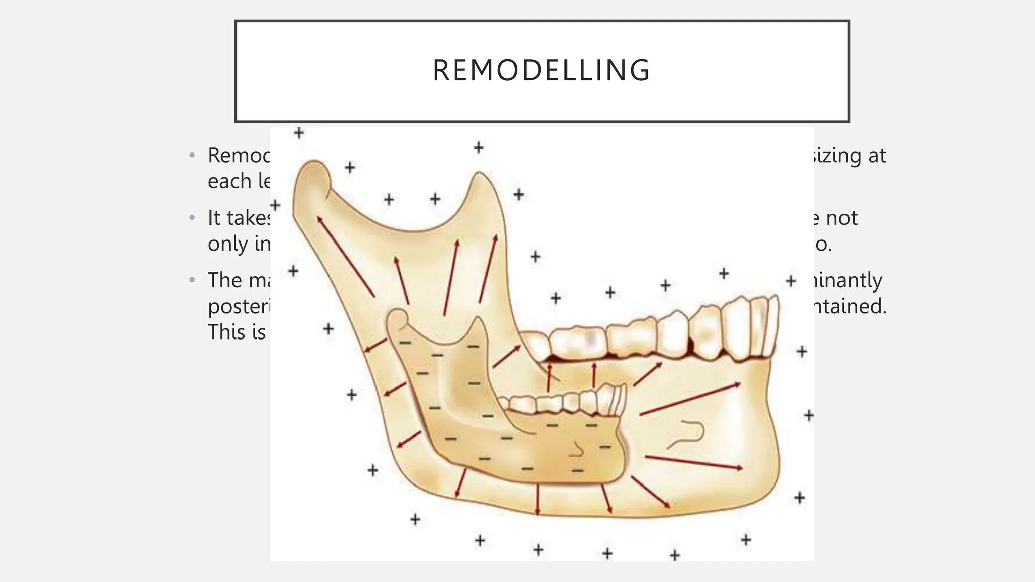 growth and development of mandible both prenatal and postnatal | PPT