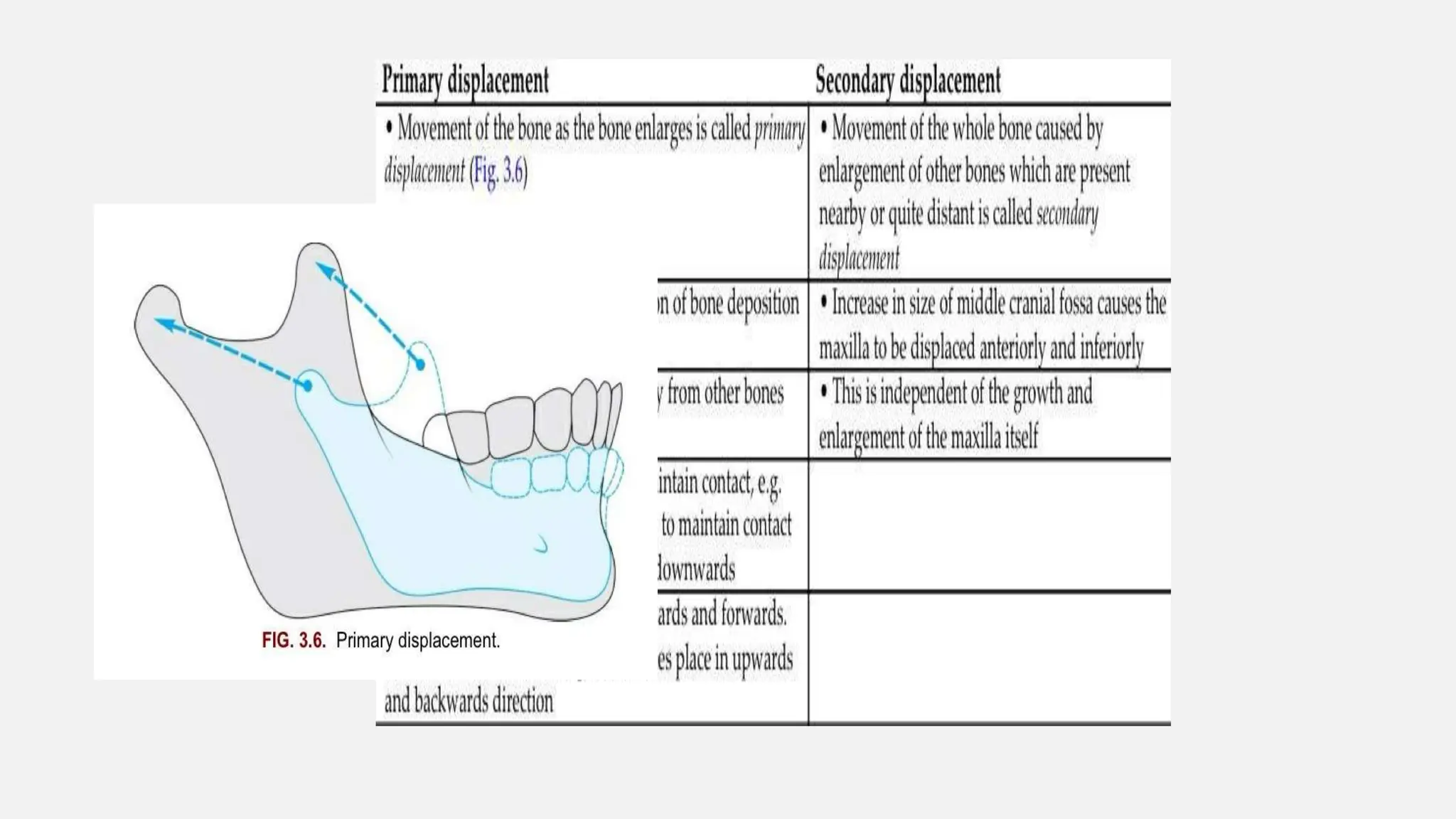 growth and development of mandible both prenatal and postnatal | PPT