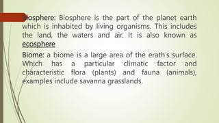1. BALANCE OF NATURE bilogy form two tanzania | PPT