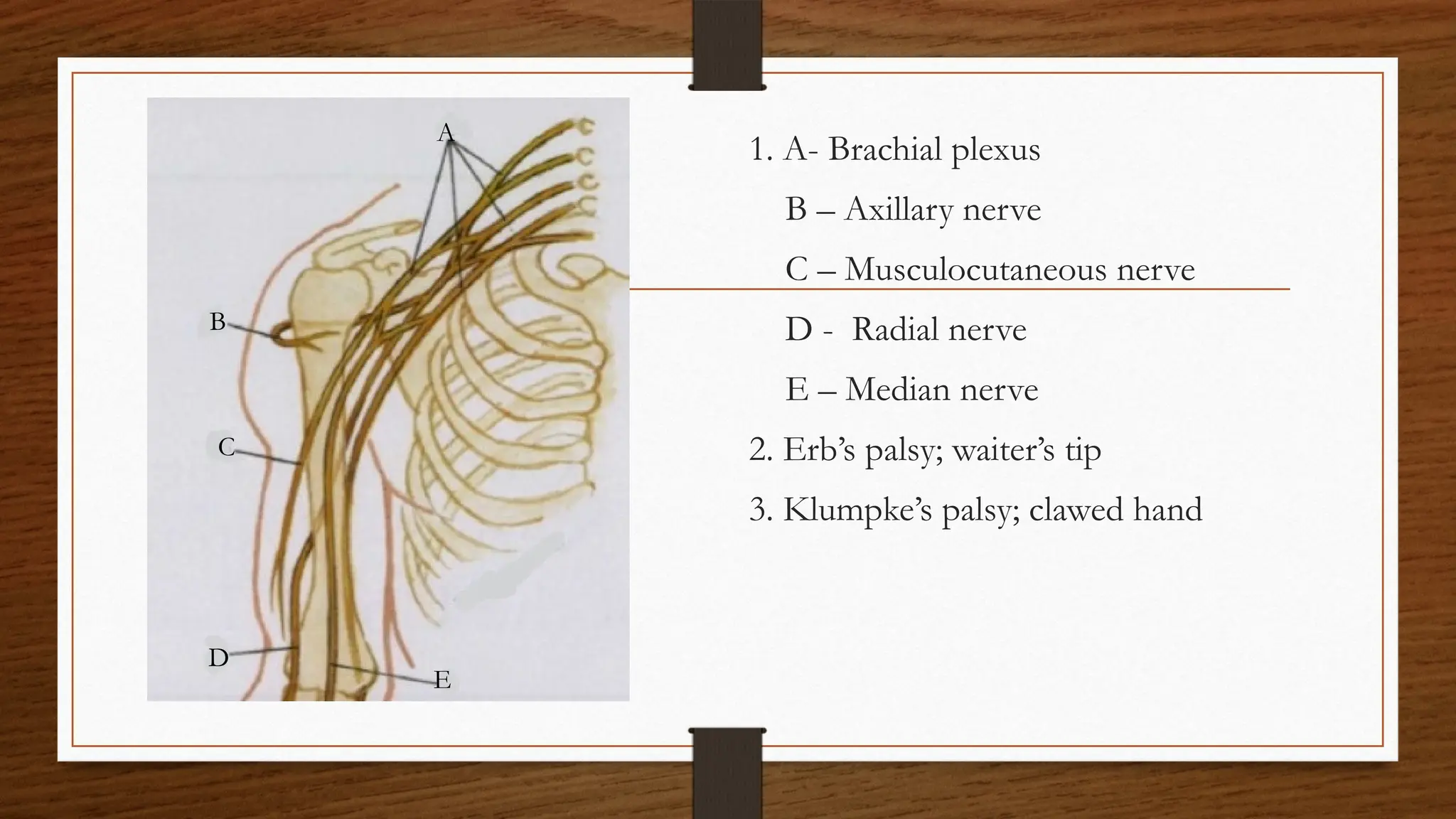 Anatomy for Human Body fixed resources session | PPTX