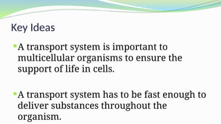 10. Cell Transport Systems in Organisms.pptx