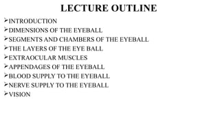 1.0 ANATOMY OF THE EYE BALL.pptx of the eye ball | PPT