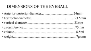 1.0 ANATOMY OF THE EYE BALL.pptx of the eye ball | PPT