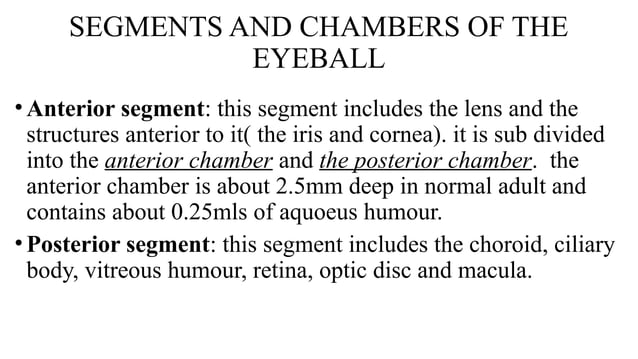 1.0 ANATOMY OF THE EYE BALL.pptx of the eye ball | PPT