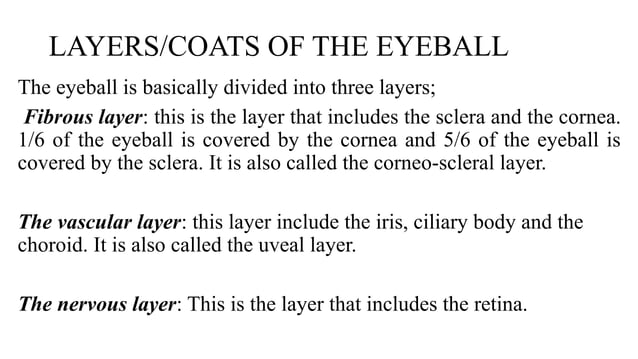 1.0 ANATOMY OF THE EYE BALL.pptx of the eye ball | PPT