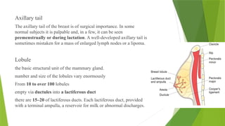 1. Benign Breast Disorder in all woman.pptx