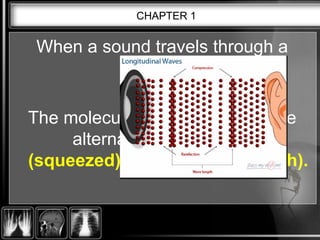 introduction to diagnostic ultrasound (UTZ) | PPTX