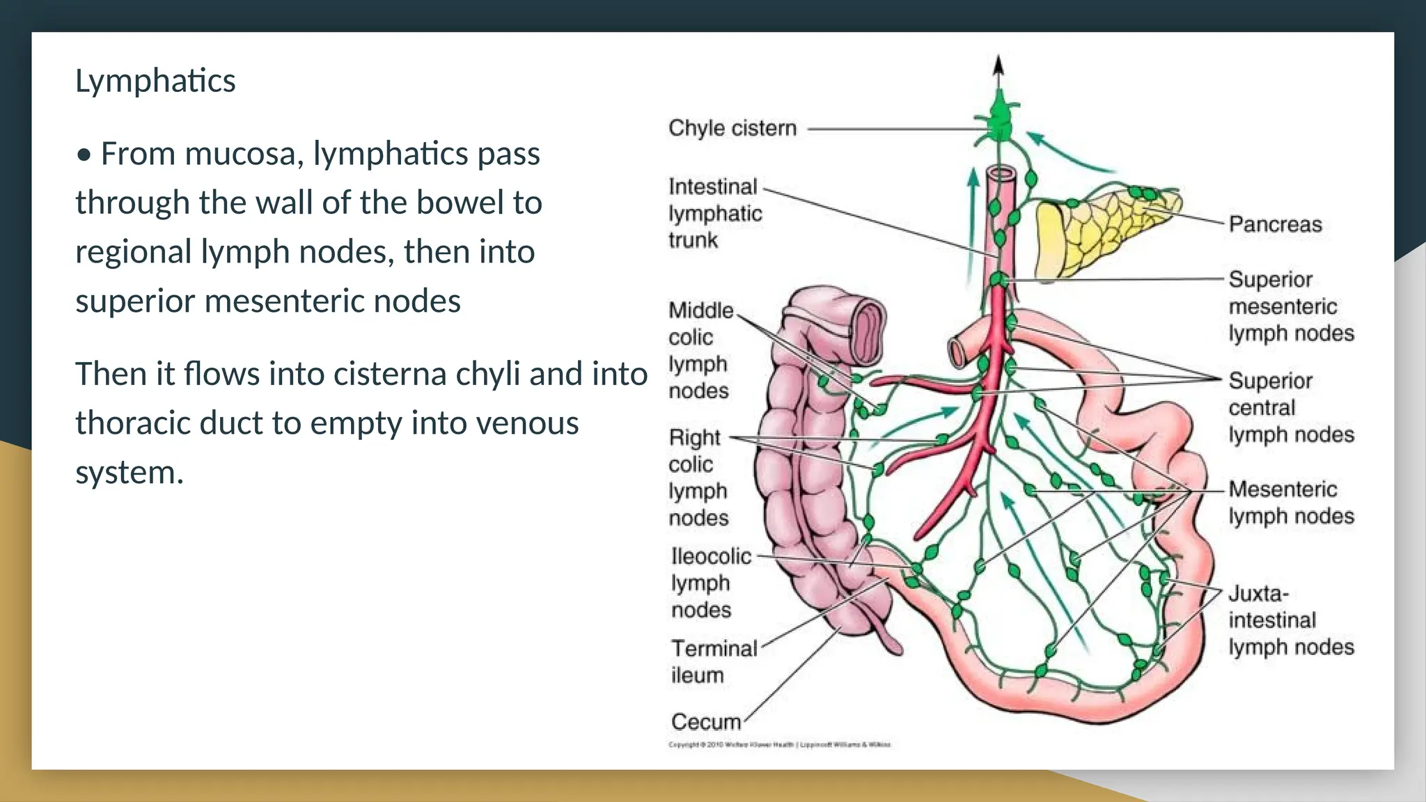 1.CONSERVATIVE MANAGEMENT OF ADHESIVE INTESTINAL OBSTRUCTION 2.pptx