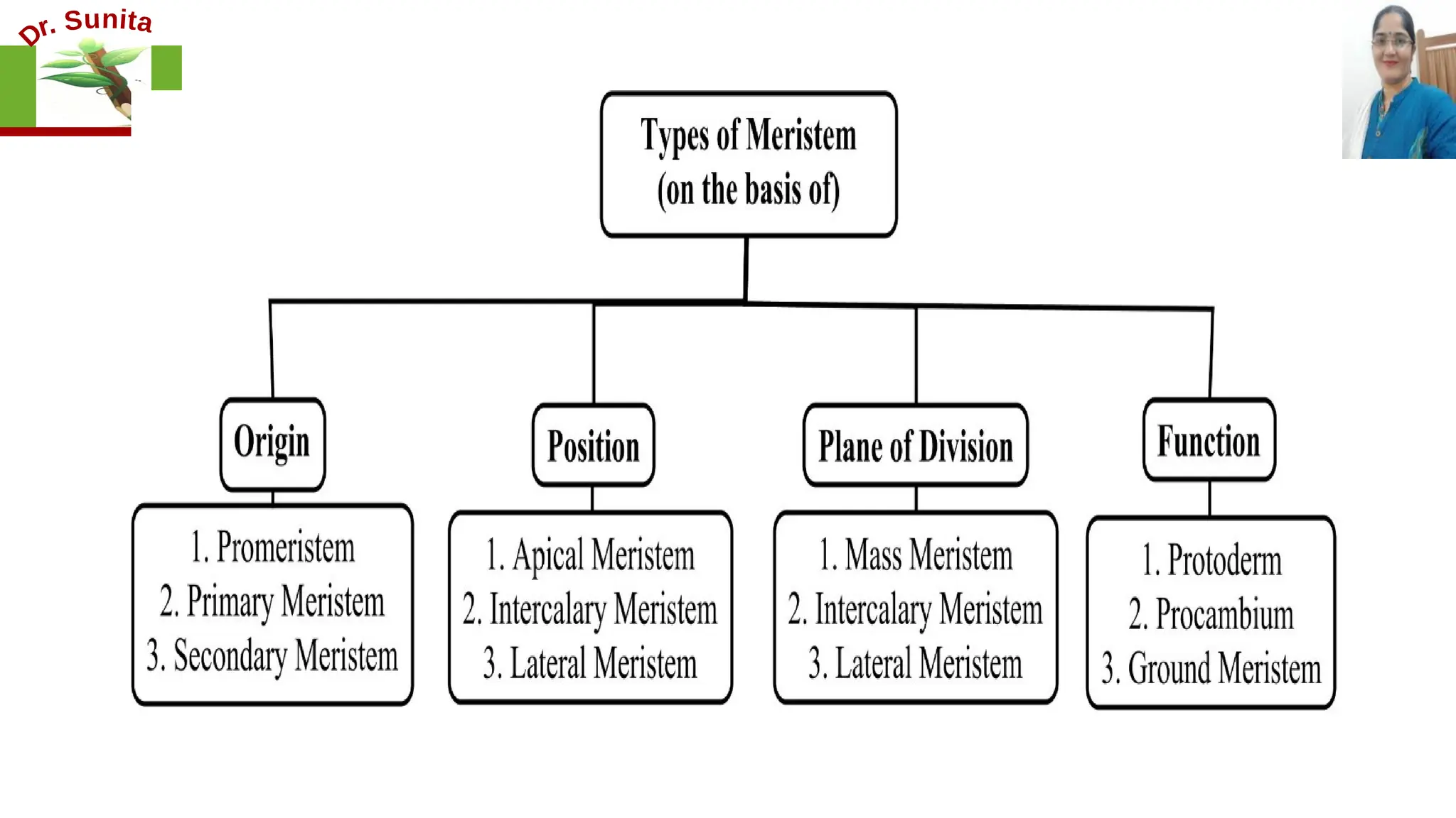 Meristematic tissue and its various types | PPTX