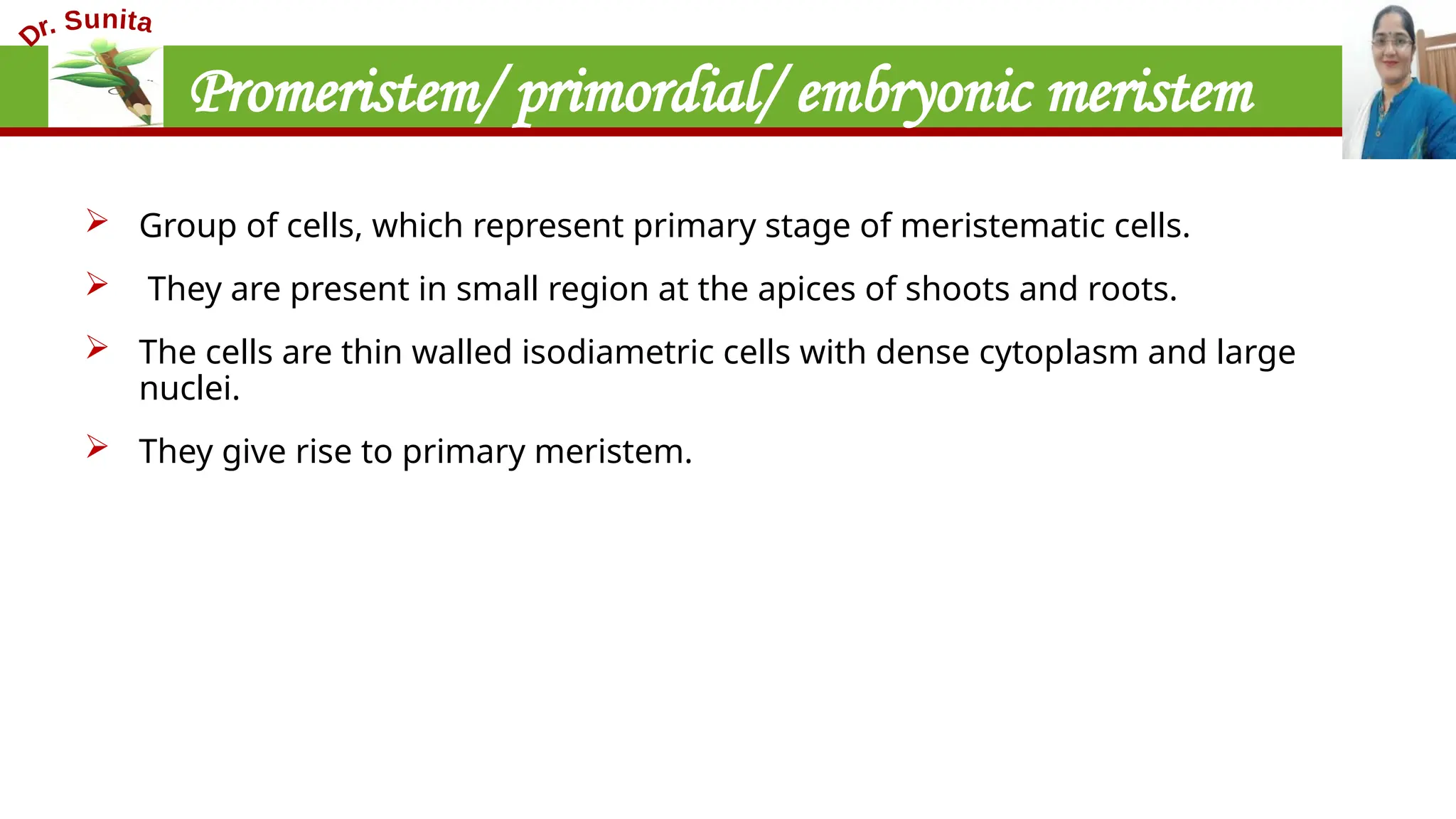 Meristematic tissue and its various types | PPTX