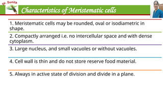 Meristematic tissue and its various types | PPTX