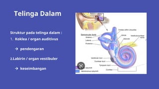 1. ANATOMI dan fisiologi pendengaran .ppt