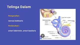 1. ANATOMI dan fisiologi pendengaran .ppt