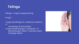 1. ANATOMI dan fisiologi pendengaran .ppt