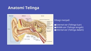 1. ANATOMI dan fisiologi pendengaran .ppt
