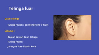1. ANATOMI dan fisiologi pendengaran .ppt