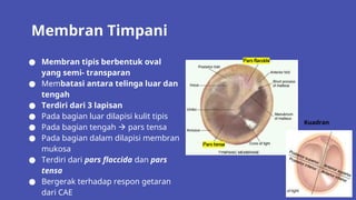 1. ANATOMI dan fisiologi pendengaran .ppt