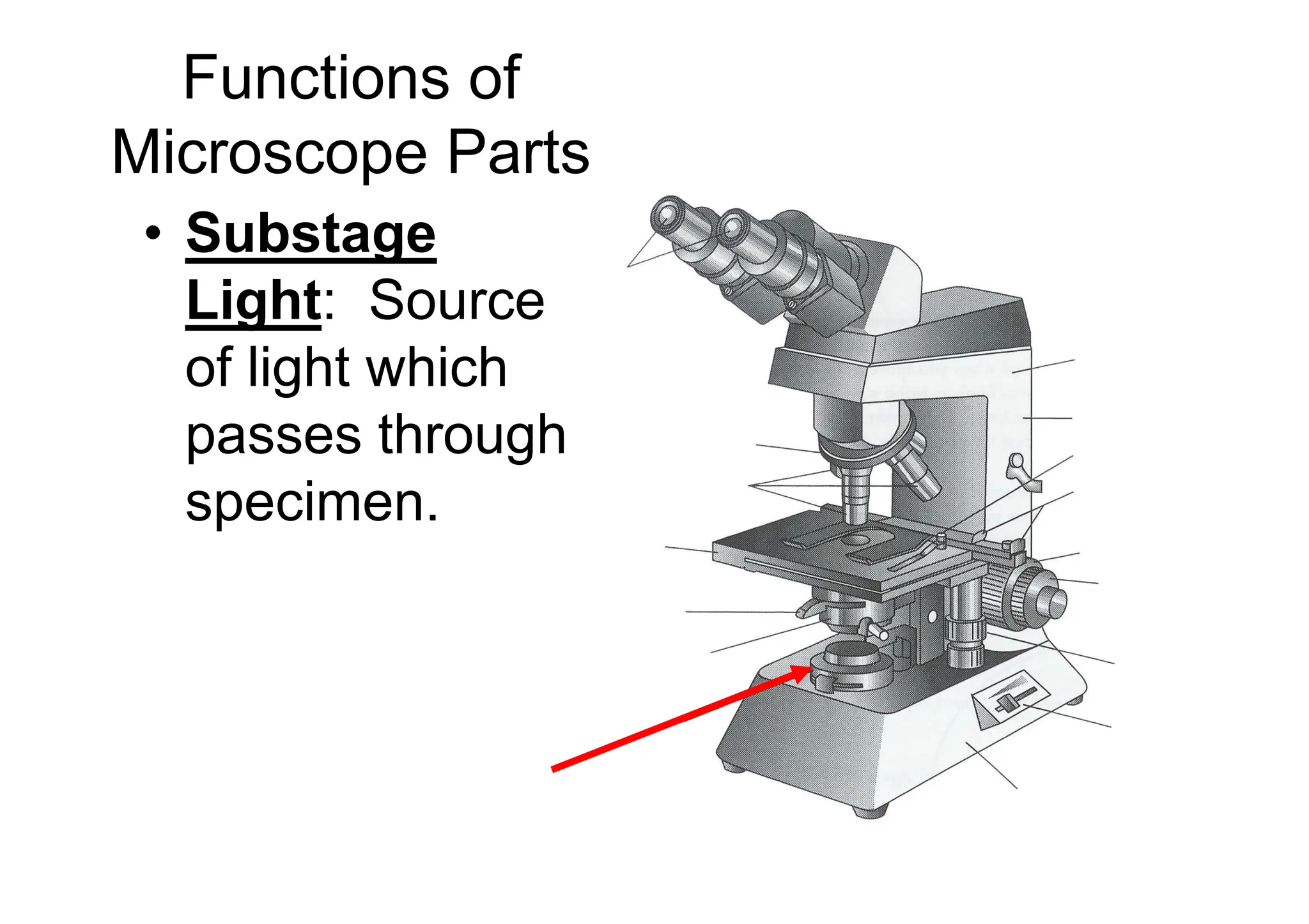 Safety in a microbiology laboratory starts with protecting yourself | PDF