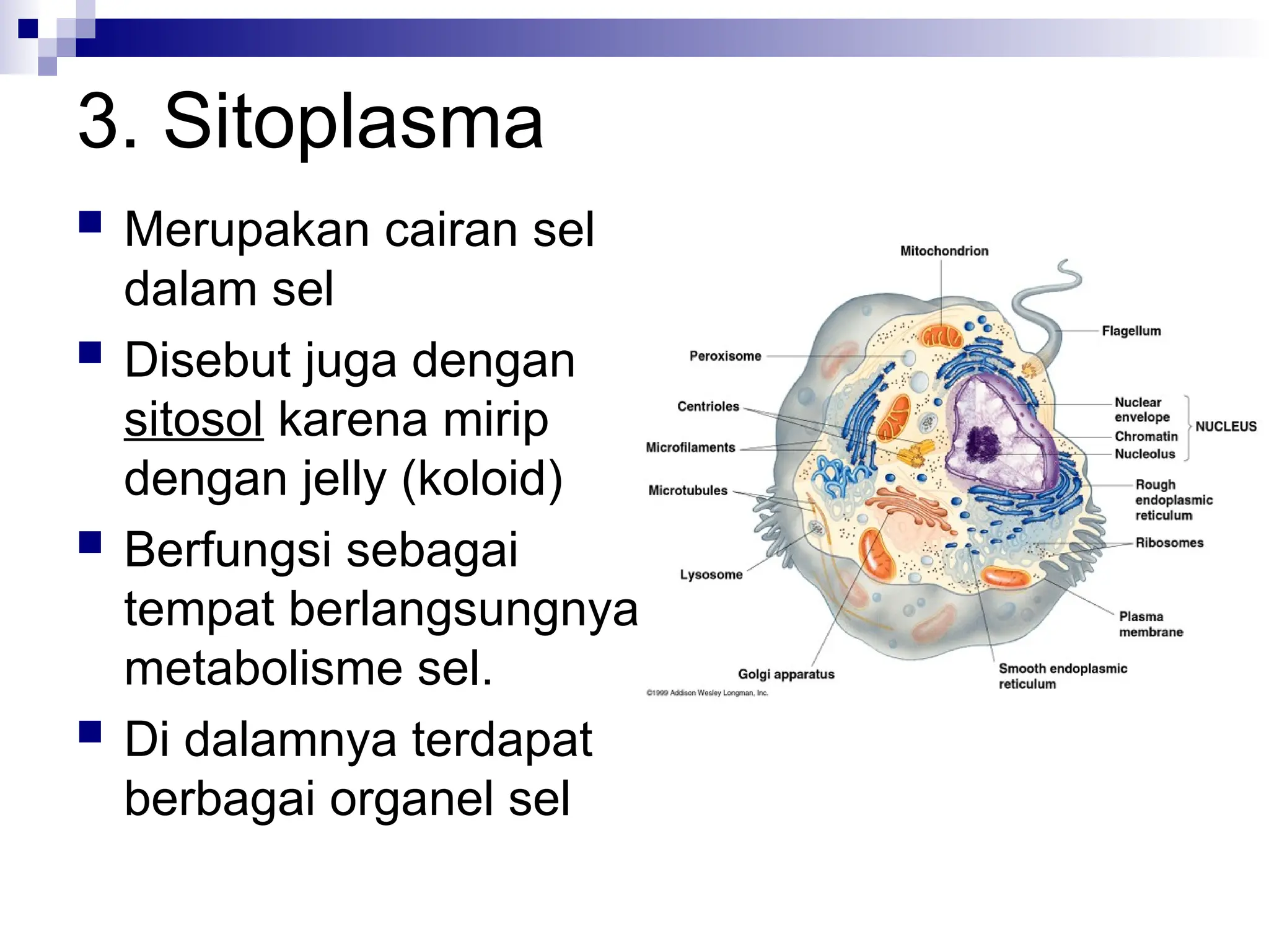 1. Struktur dan fungsi sel berfungsi.ppt