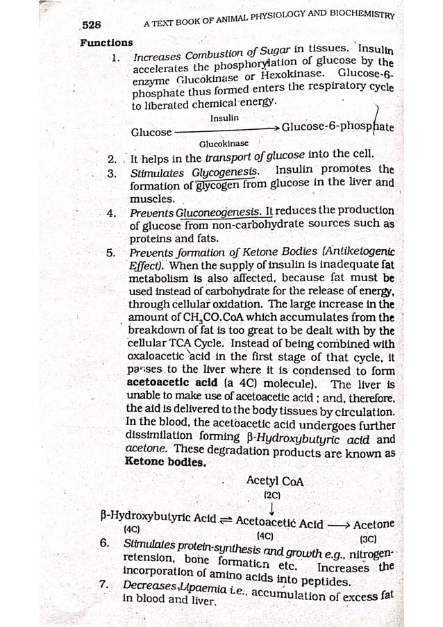 1. PANCREATIC HORMONES 2. CHEMISTRY OF INSULIN 3. BIOLOGICAL FUNCTION ...