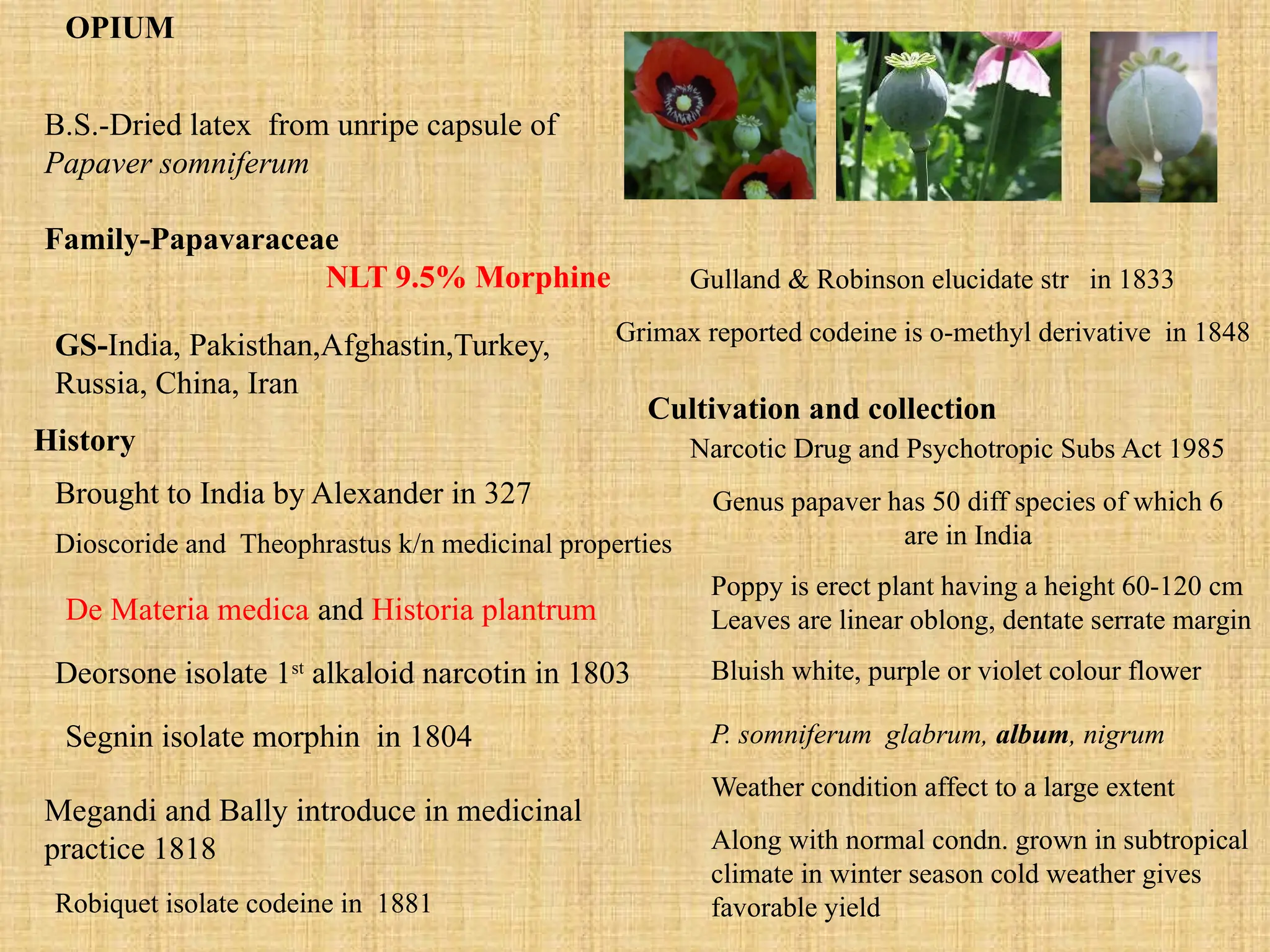 1.3 Opium, morphine, codeine, papaverine narsine.pptx