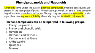 1.6 Phenylpropanoid and flavonoids.pptx