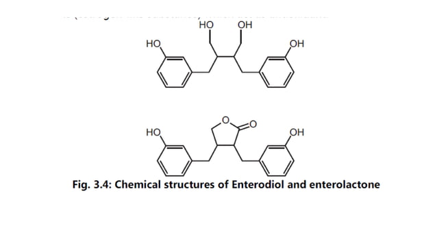 1.6 Phenylpropanoid and flavonoids.pptx
