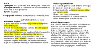 1.6 Phenylpropanoid and flavonoids.pptx