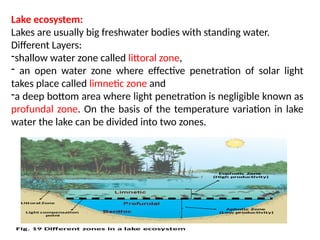 Ecosystems and their importance and classification | PPTX