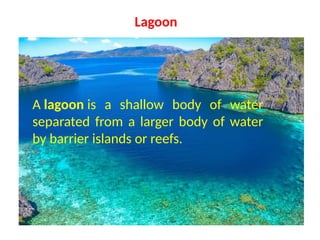 Ecosystems and their importance and classification | PPTX