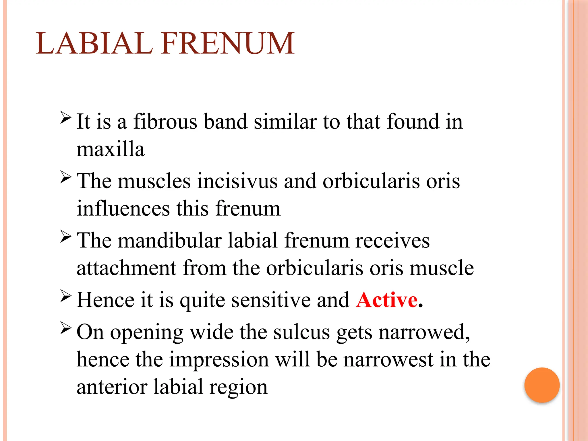 1. ANATOMICAL LANDMARKS OF MANDIBLE.pptx | Ear, Nose and Throat ...