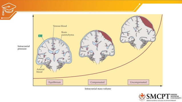 1. Neuroanatomy Cerebro spinal Fluid Flow 31.8.2024_proof.pdf