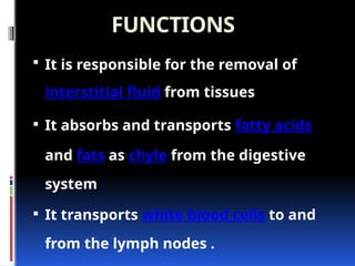 1.LYMPHATIC SYSTEM physiology & explanation | PPT