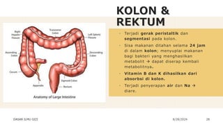SISTEM PENCERNAAN DALAM TUBUH MANUSIA.pdf