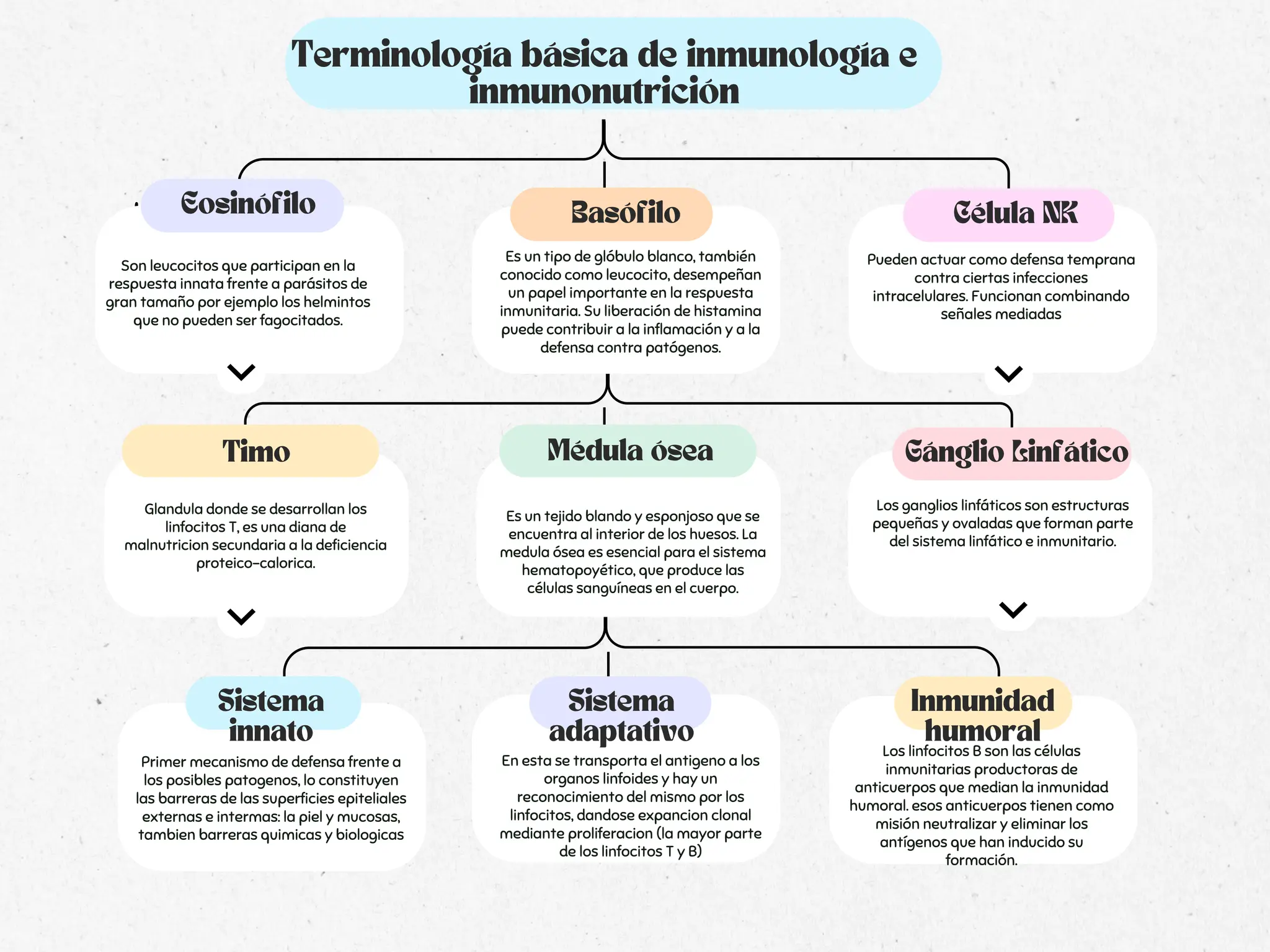 Mapa conceptual, terminología básica de inmunidad e inmunonutricion | PDF