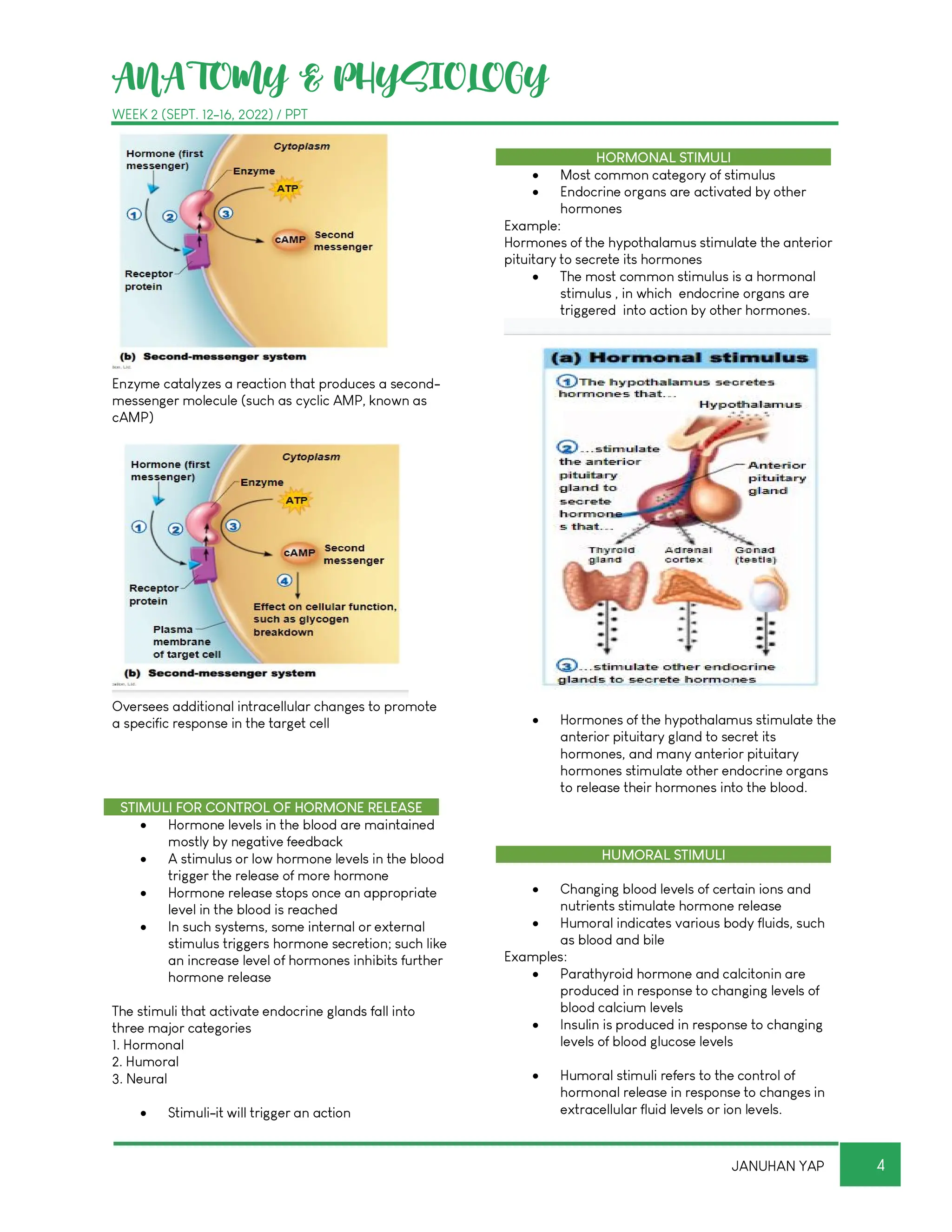 NURSING 1.04 CHAP 9 THE ENDOCRINE SYSTEM.pdf