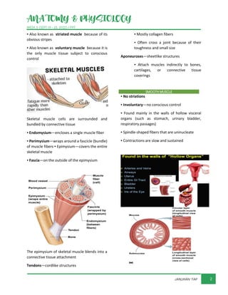 ANATOMY NURSING TRANS NOTES 1.06 MUSCULAR SYSTEM.pdf