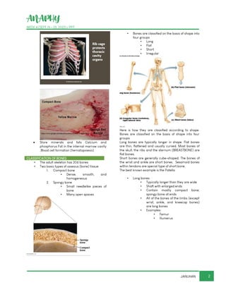 NURSING TRANS NOTES 1.05 ANAPHY-SKELETAL-FINAL.pdf
