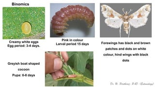 Pests of Brinjal_Bionomics_IPM_Dr.UPR.pdf | Agriculture | Industries