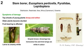 Pests of Brinjal_Bionomics_IPM_Dr.UPR.pdf