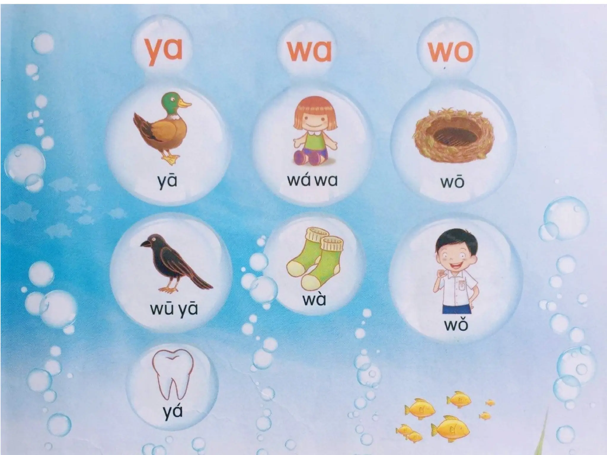 chinese pinyin 拼音 1.chinese pinyin 拼音 1.pptx