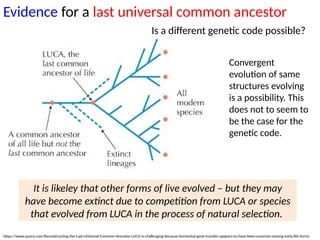 1. A 2.1 HL The origin of cells (1).pptx