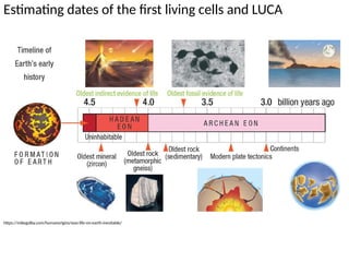 1. A 2.1 HL The origin of cells (1).pptx