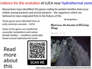 1. A 2.1 HL The origin of cells (1).pptx
