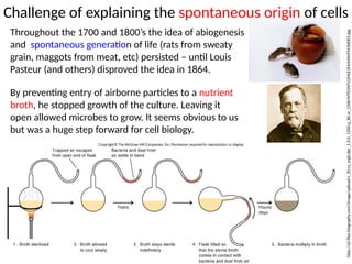 1. A 2.1 HL The origin of cells (1).pptx