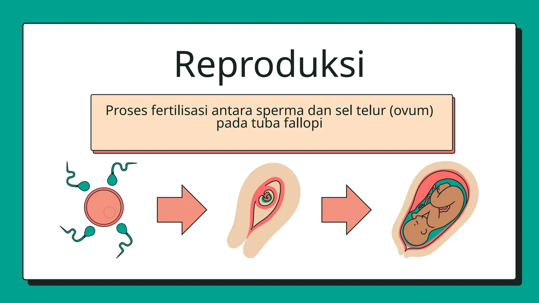 1. Pertumbuhan dan perkembangan manusia.pptx