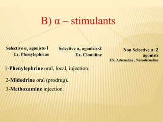 Introduction to pharmacy students and medication | PPT